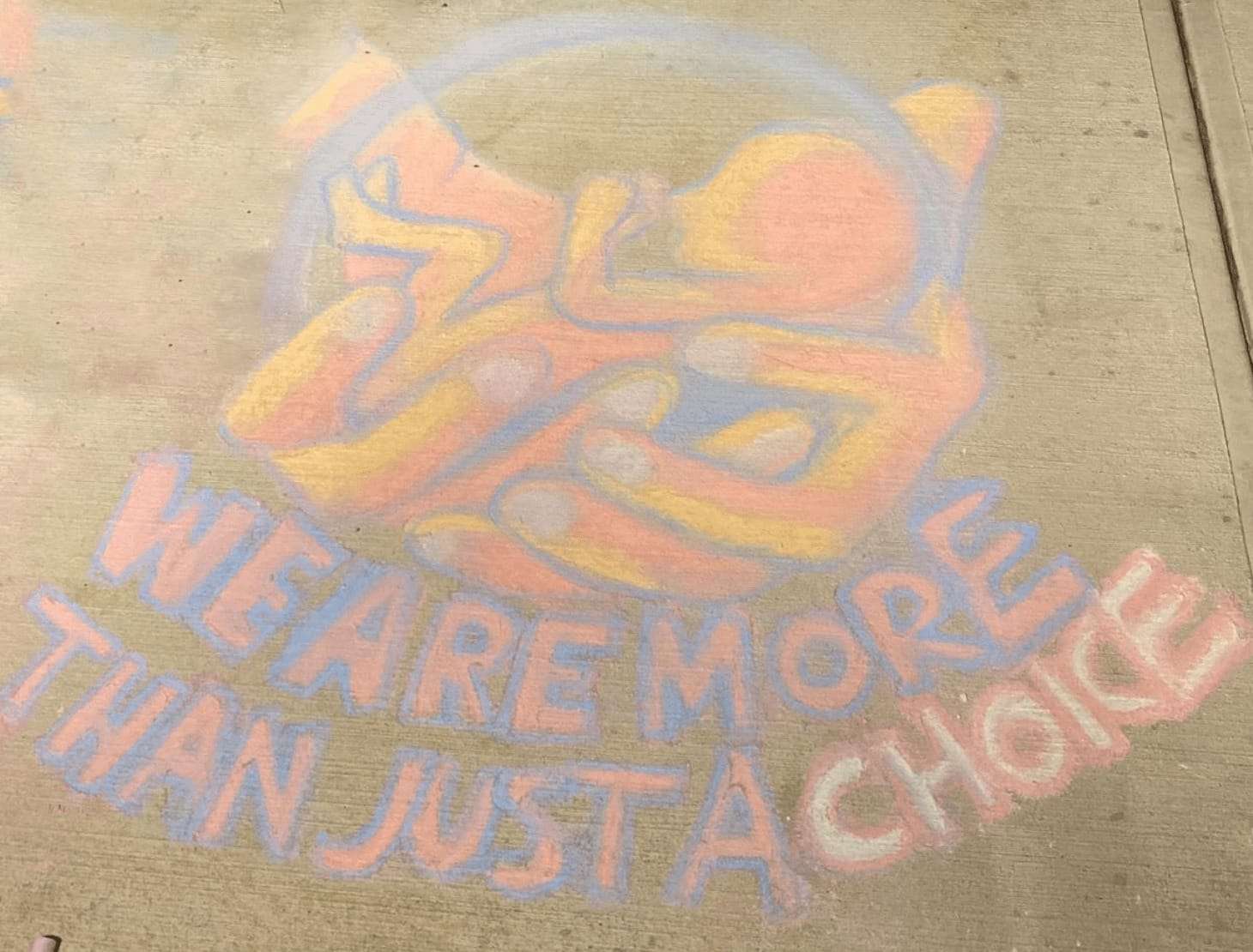 The Results Are In: Congratulations to SFLA’s Fall 2023 National Pro ...