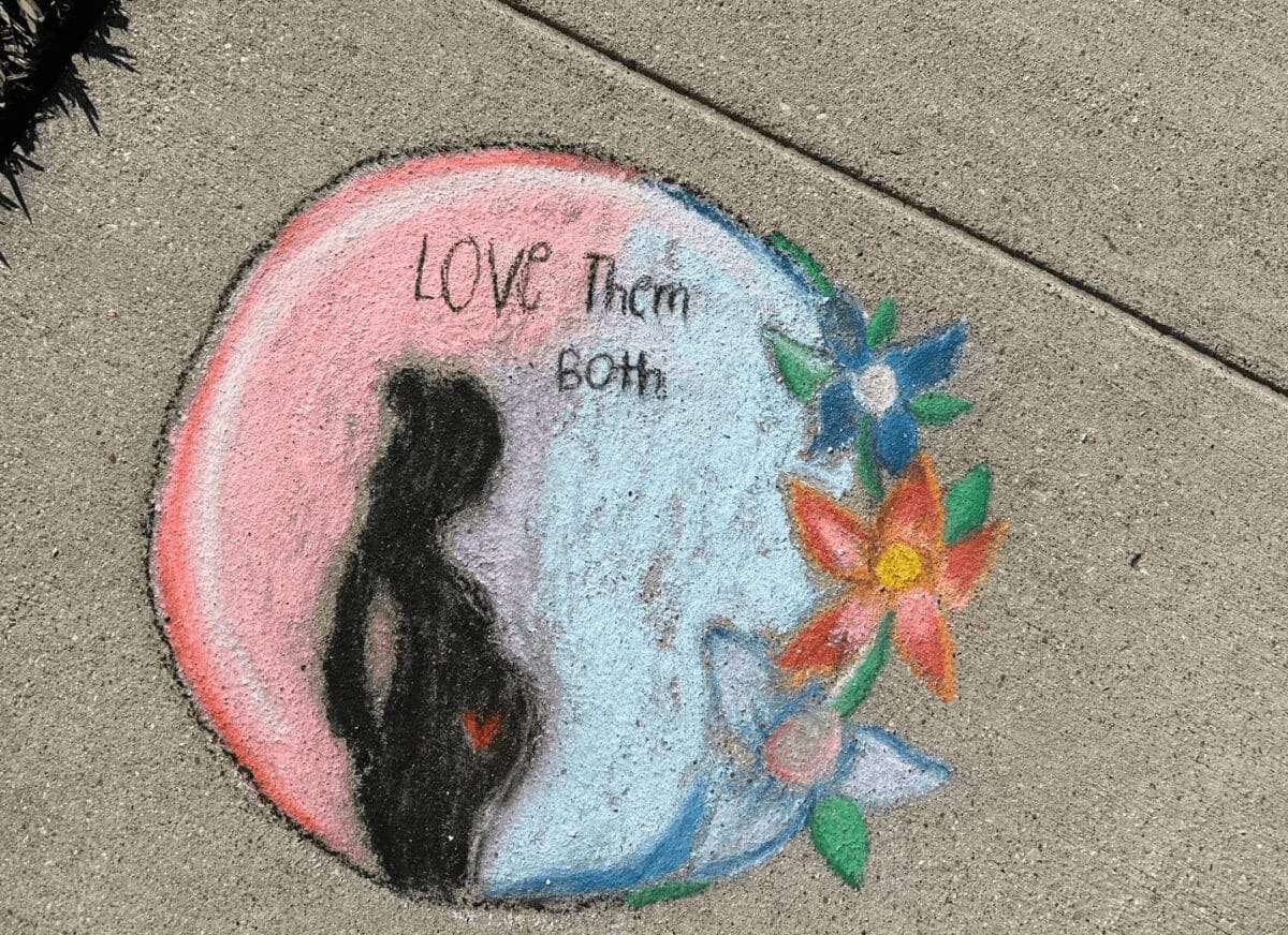 It’s Up to You: Vote on Your Top Three Favorite Chalkings from Fall ...